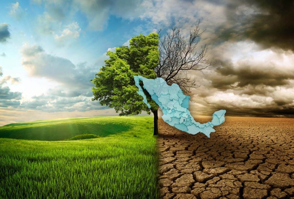 ¿Qué es el Cambio climático? - Revista Toxicshock