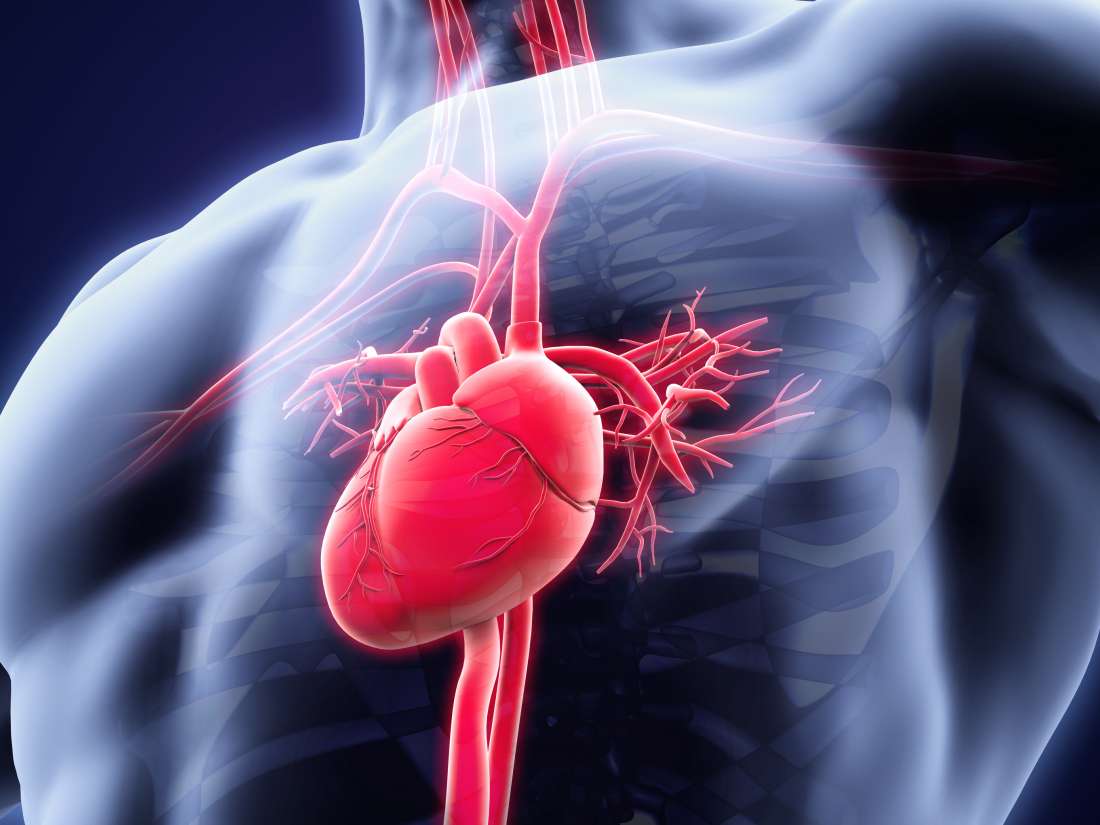 ¿Cómo deben ser las pulsaciones normales? - Revista Toxicshock