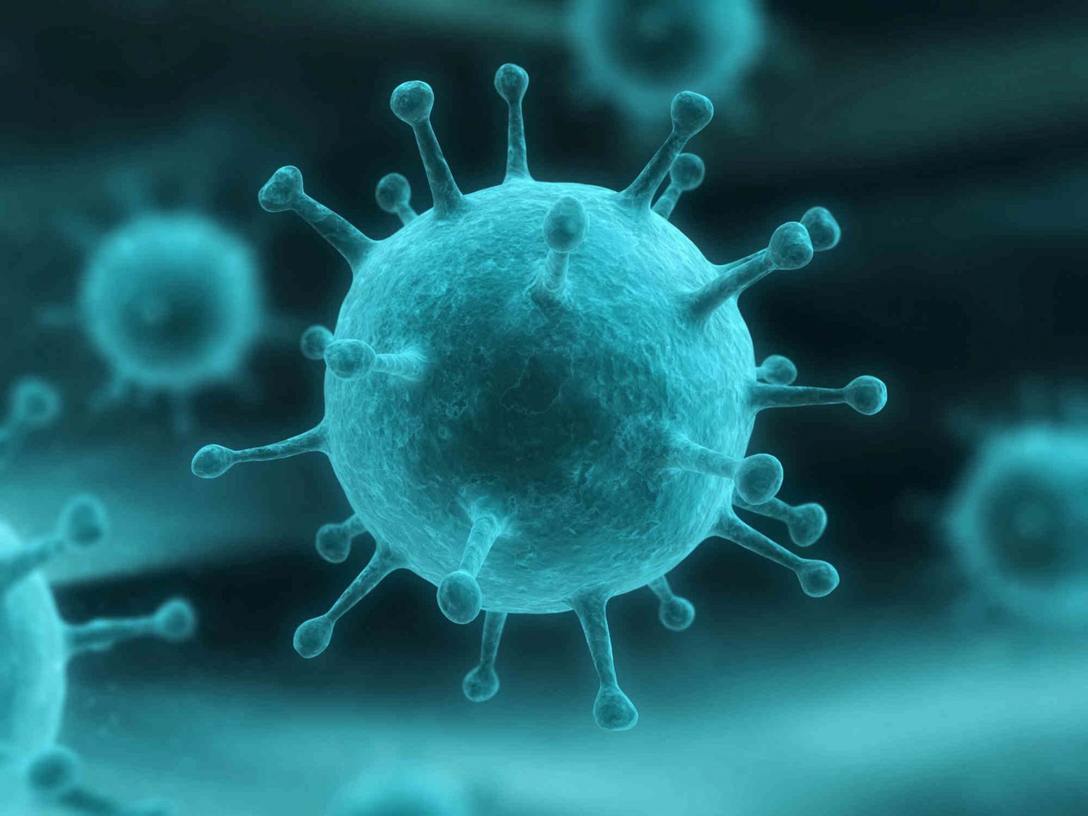 El virus del resfriado común podría sanar tumores cerebrales - Revista ...